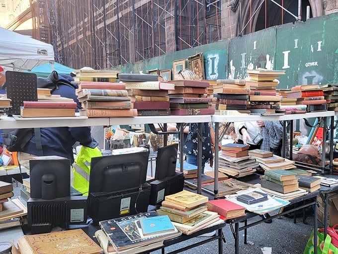 Bibliophiles, prepare your tote bags! These stacks of literary treasures are waiting to fill the empty spaces on your already overflowing bookshelves.
