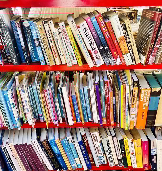These book shelves tell stories even before you open a single cover – a literary treasure map for bibliophiles brave enough to dig.