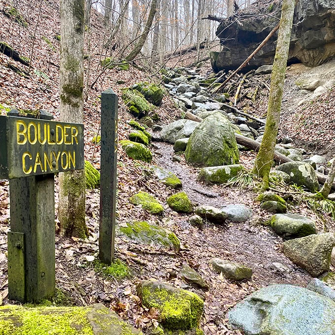 Boulder Canyon's trail sign might as well read "Prepare Your Knees" – nature's obstacle course awaits with rocks of all persuasions.
