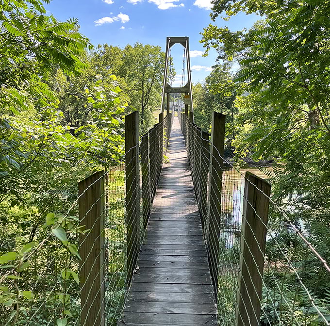 This suspension bridge isn't just a crossing—it's nature's version of a plot twist, leading adventurers to the next chapter of wilderness.