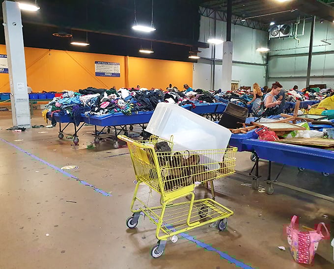 The yellow shopping cart—trusty sidekick to serious thrifters. Notice the white container for organizing smaller finds—that's pro-level treasure hunting.