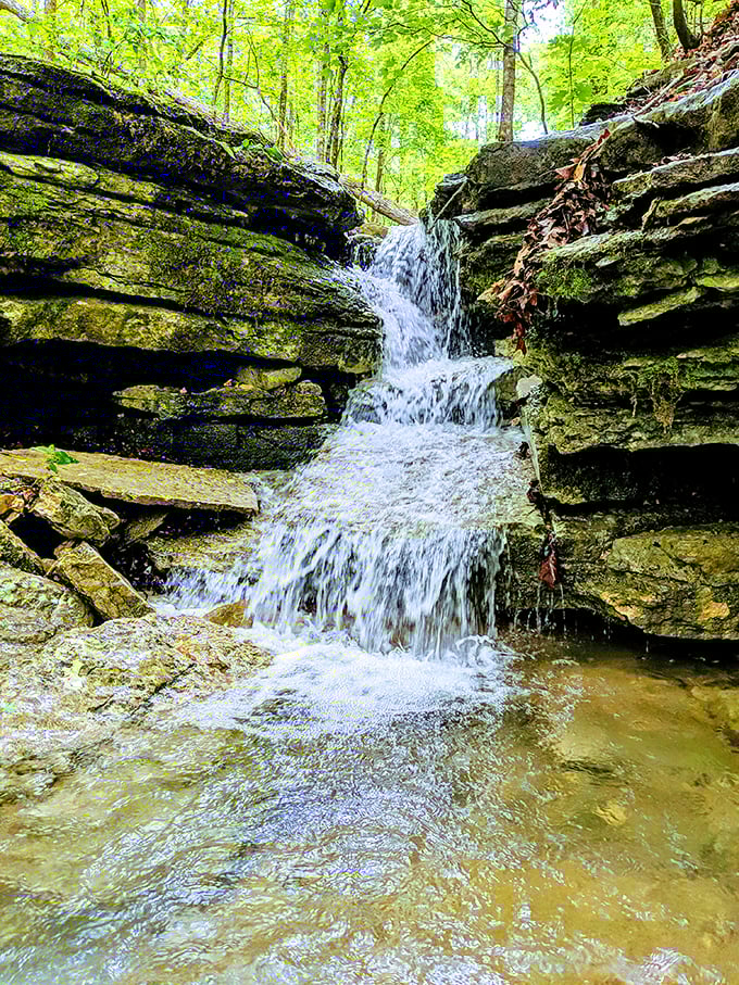 Mother Nature's staircase – water cascades down ancient limestone ledges, carving its path through the Ozarks with the patience only millennia can provide.