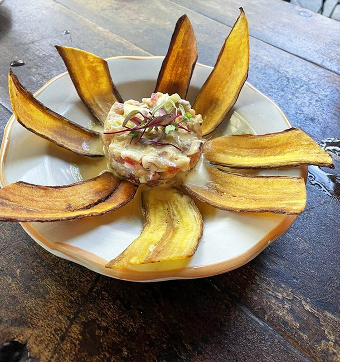 Fresh seafood swimming in citrus and mango cream—this isn't your average ceviche, it's a Caribbean vacation in a bowl.
