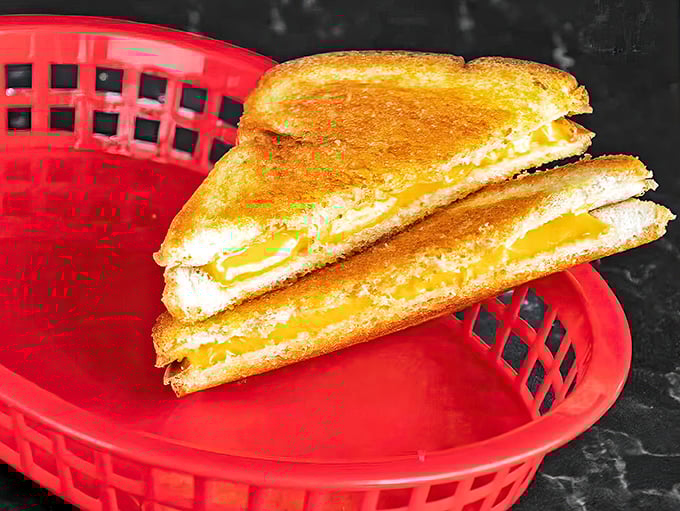 The humble grilled cheese—proof that sometimes the simplest pleasures are the most profound. Crispy outside, molten inside, happiness throughout.
