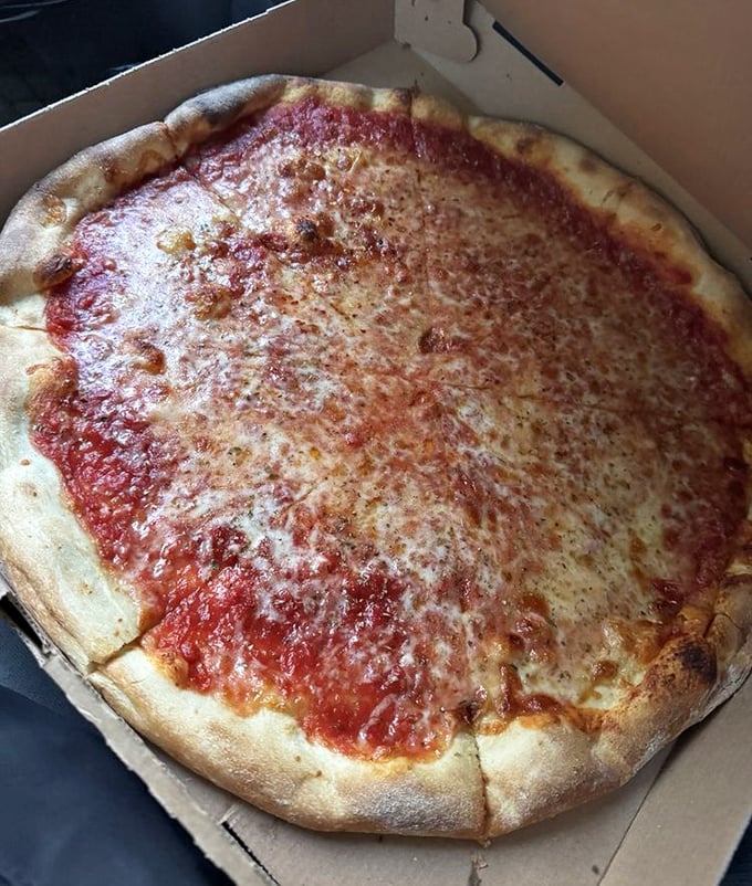 The classic cheese pie—proof that perfection doesn't need to be complicated. That crust has the kind of character Hollywood actors spend years trying to develop.