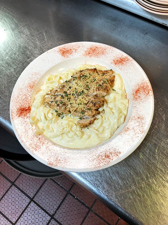 Comfort food elevated: tender chicken over creamy pasta, dusted with herbs and parmesan. The plate's paprika rim isn't just decoration—it's a promise of flavor.