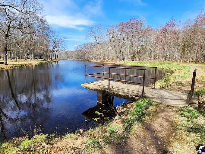 This little bridge at Clark Community Park isn't asking for Instagram fame—it's just quietly offering the perfect spot for contemplating life's big questions or small ducks.