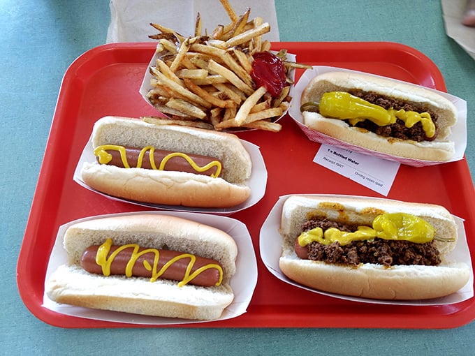 The classic American tray lineup – hot dogs, chili dogs, and fries. No filters needed for this kind of food porn.