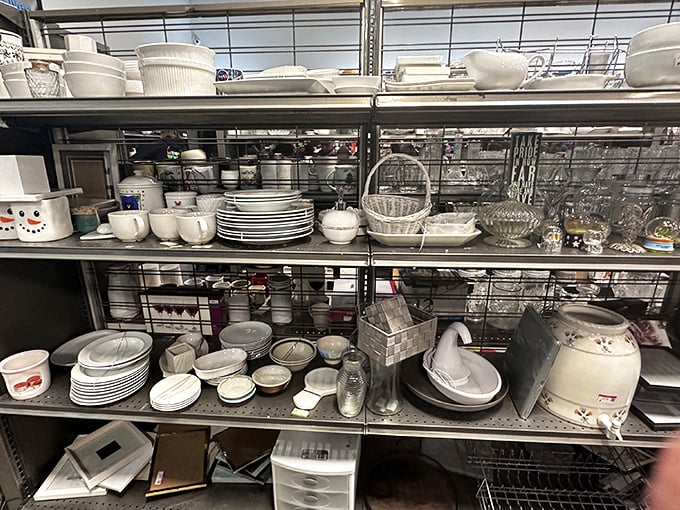 Delicate china, sturdy stoneware, and quirky novelty mugs coexist on these shelves—each piece waiting to join someone's eclectic table setting.