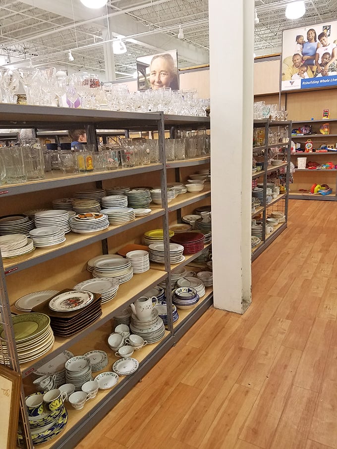 Plates with stories to tell – these dishes have hosted countless family dinners and are ready for encore performances.
