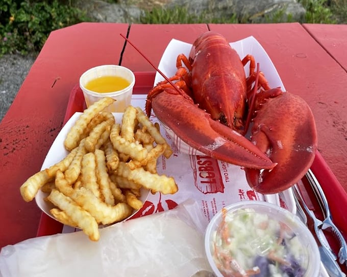 The whole lobster dinner – nature's perfect food design, requiring tools, technique, and a bib. Worth every messy minute.