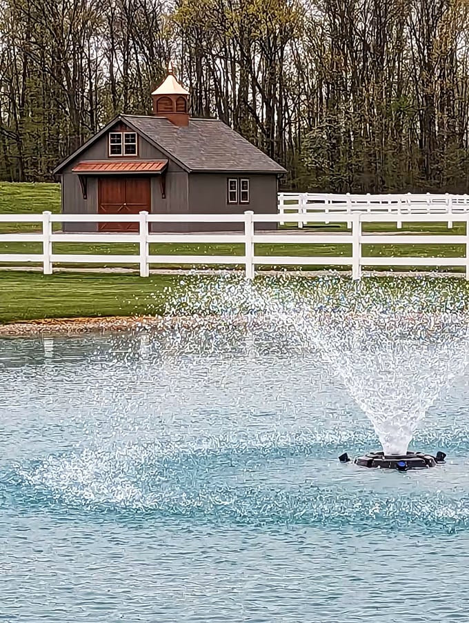 Who needs beach resorts? This picturesque pond with its dancing fountain creates a tranquil focal point that hypnotizes worries right out of your mind.