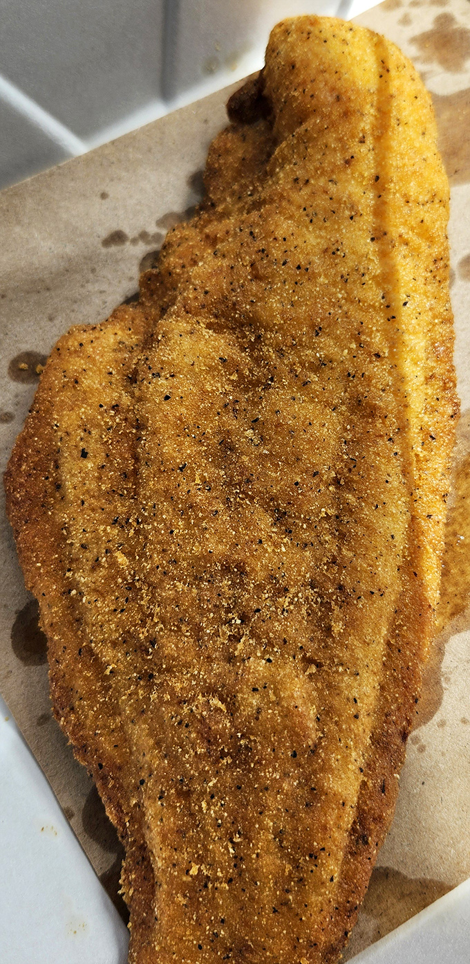 This isn't just fried catfish—it's cornmeal-crusted Southern poetry, crispy on the outside with that perfect peppery seasoning visible in every bite.