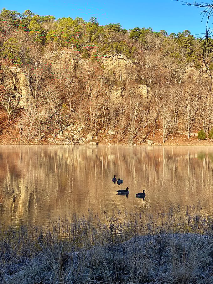 Winter's bare trees reveal the park's geological bones, while ducks glide across water so still it could be mistaken for glass.