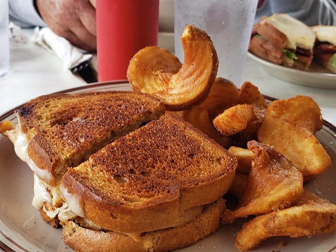 The perfect grilled sandwich with homestyle potato chips that curl like they're showing off. This isn't lunch – it's edible nostalgia.