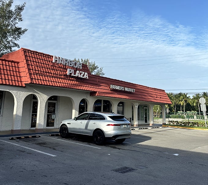 Harbor Plaza's red-roofed charm houses local treasures and fresh produce – proof that not all Florida shopping needs a mega-mall.