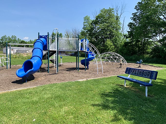 Even the playground equipment in Mifflinburg has small-town charm—blue slides and climbing structures where local kids build memories and skinned knees with equal enthusiasm.
