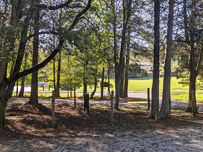 Sunlight plays through the trees at this historic site, creating the kind of tranquil scene that makes you want to put your phone away and just breathe.