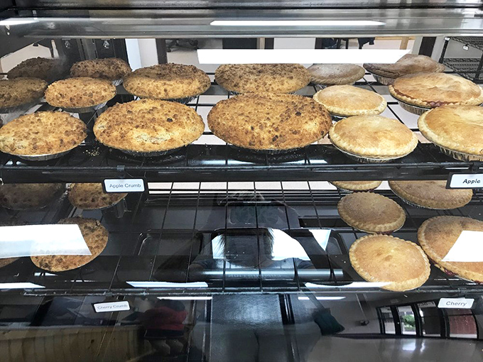 Apple crumb pies lined up like soldiers, ready for duty. These aren't just pies—they're edible works of art waiting to comfort you.