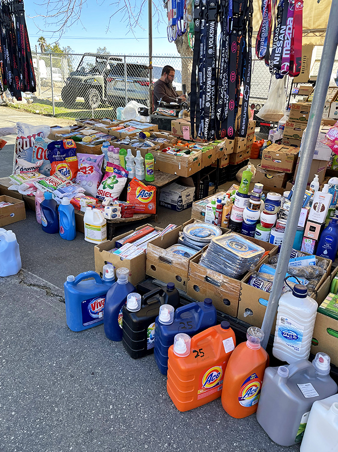 Household essentials at rock-bottom prices—because saving on laundry detergent means more money for tacos later. That's just smart economics.