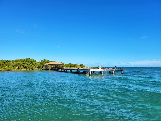 This weathered dock leads to Indian Key's fascinating past – a ghost town with stories to tell if you're willing to make the boat trip.