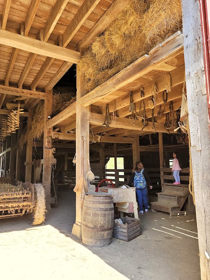 Inside this wooden cathedral of agriculture, every beam and tool tells a story of ingenuity and hard work—the original DIY network.