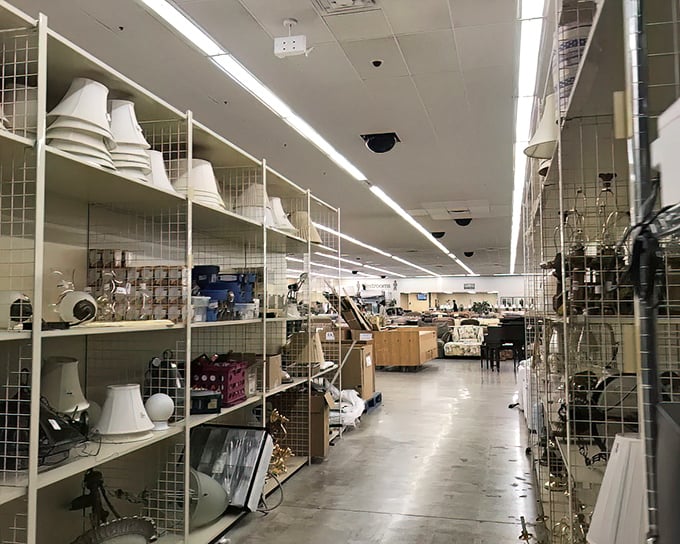 The lamp section illuminates possibilities – from mid-century modern to "your grandmother would definitely approve" styles.