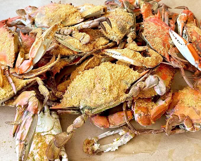 Maryland blue crabs wearing their Old Bay formal attire. This spice-dusted pile represents hours of delicious work ahead—the most rewarding manual labor you'll ever do.