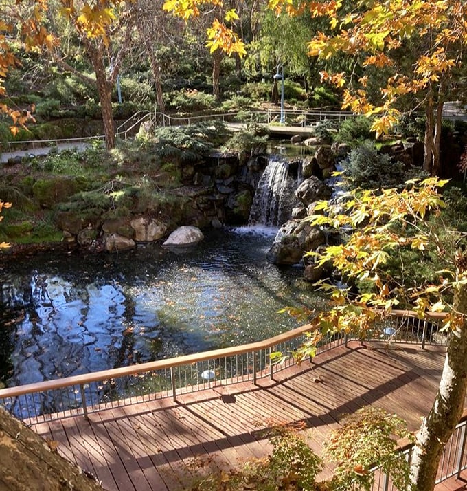 This tranquil waterfall scene proves that sometimes the most memorable theme park moments happen when you're standing still, just soaking in the view.