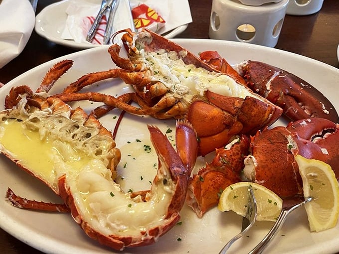 This lobster isn't just dinner—it's a crimson-clad celebrity making a grand entrance on your plate.
