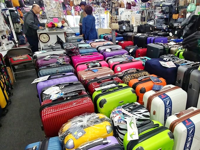 A rainbow sea of luggage waiting for your next adventure. Pick the brightest one and you'll never struggle at the baggage claim again.