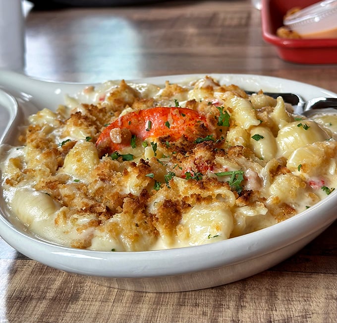 Lobster mac and cheese topped with a whole crustacean because sometimes regular mac and cheese just isn't living up to its potential.