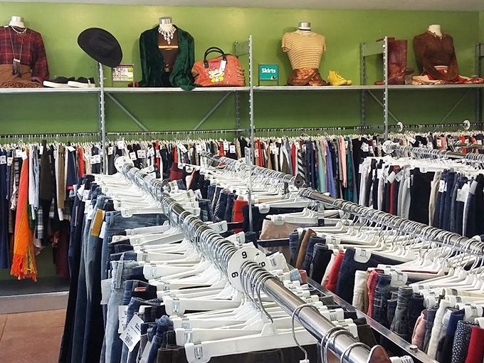 Visual merchandising that tells a story—mannequins showcasing outfits that whisper "Yes, you too can pull this off" to hesitant shoppers.