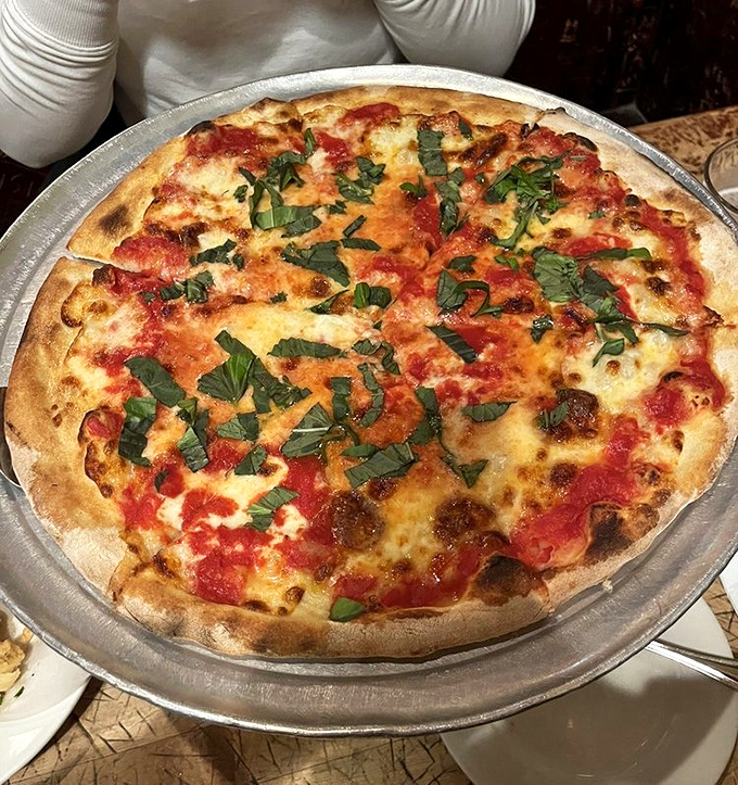 The margherita pizza showcases John's restraint – fresh basil scattered like confetti over a perfect marriage of sauce, cheese, and that coal-fired crust.