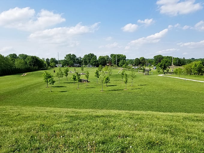 Green space stretches endlessly under blue skies, offering locals room to breathe, play, and remember why open land matters.