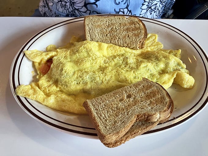 An omelet so perfectly folded it could teach origami classes. The toast stands at attention, ready for its butter bath.