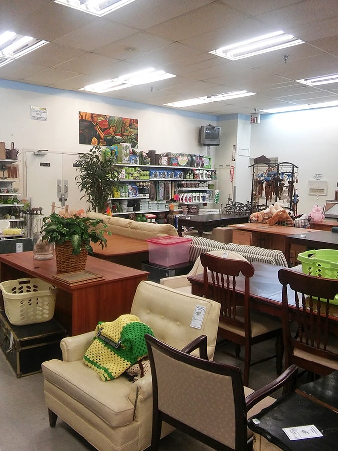 “Treasure hunt, anyone?” Every aisle tells a story — mismatched chairs, cozy throws, and a whisper of nostalgia in the air.