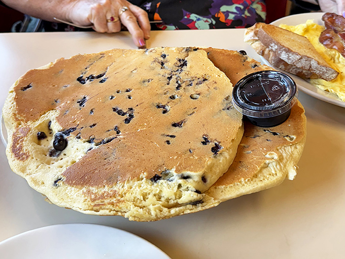 Blueberry pancakes the size of hubcaps, because sometimes more really is more in the best possible way.