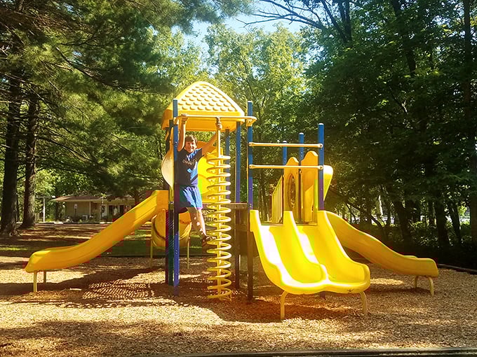 Childhood joy, bottled and served fresh daily. This playground doesn't need Wi-Fi – the connection to fun is already five bars strong.