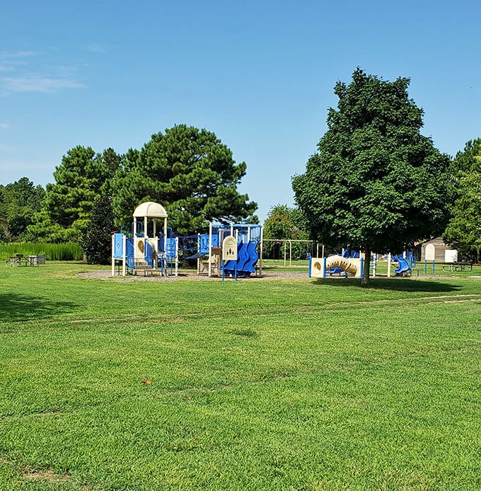 Kid-tested, parent-approved playground where energy is burned and memories are made. The perfect pit stop between hiking adventures.