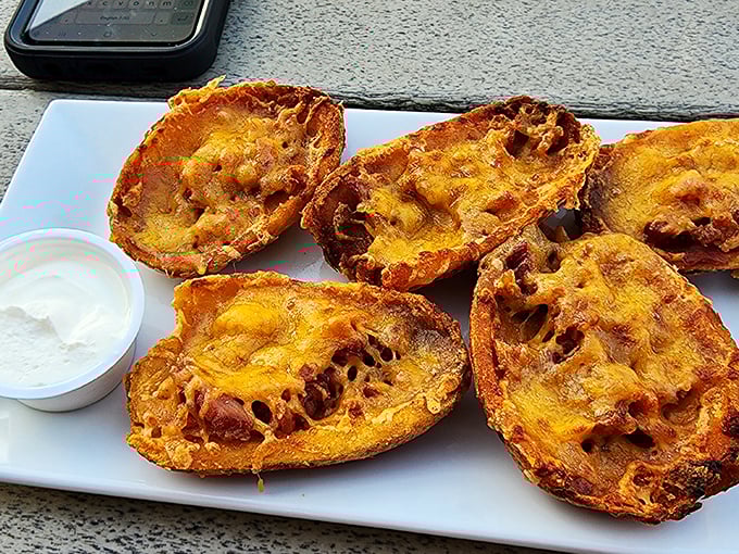 Potato skins: where humble spuds are transformed into crispy vessels of melted cheese and bacon—proof that simple pleasures are often the most satisfying.