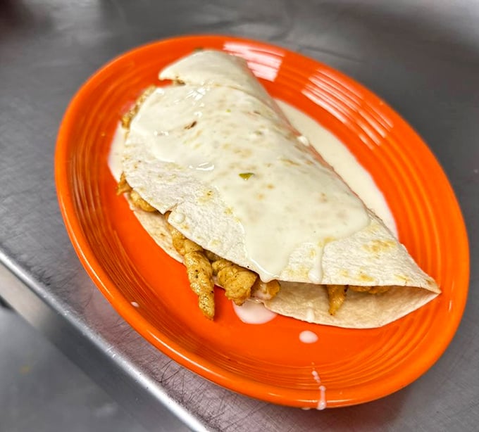 Quesadillas elevated to art form – crispy, cheesy perfection on a turquoise canvas that makes every bite a celebration.