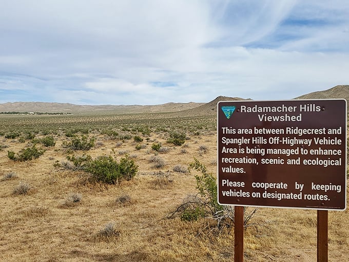 The Rademacher Hills Viewshed sign marks the gateway to outdoor recreation, where desert ecology and human enjoyment find their delicate balance.