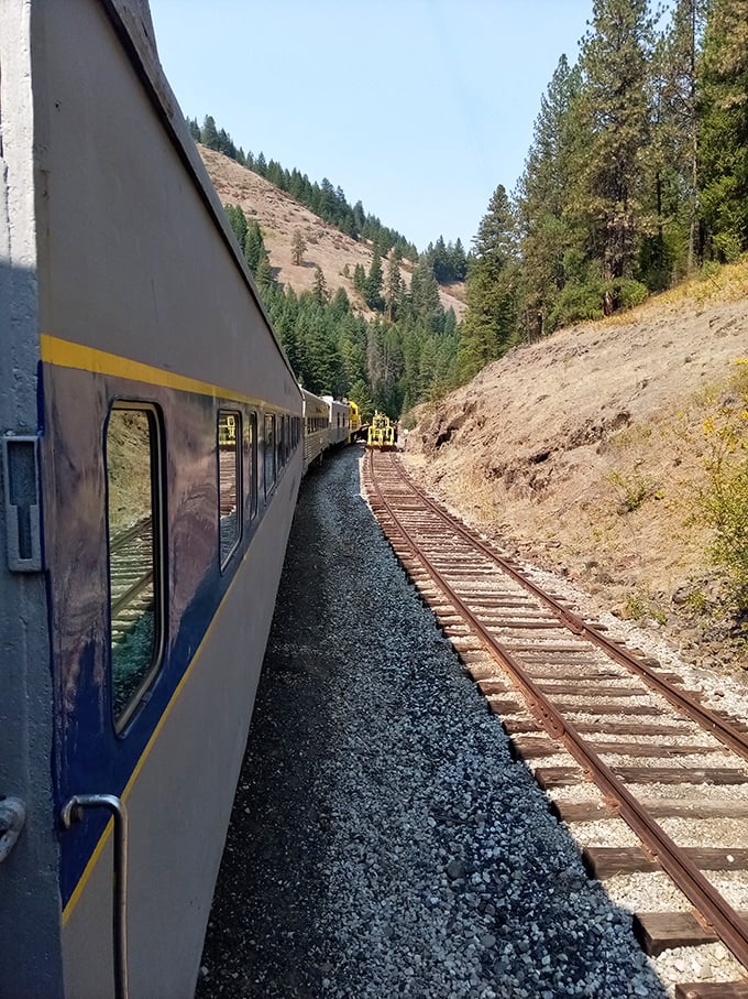Miles of track stretching toward adventure – this is how our grandparents saw America, one rail at a time.