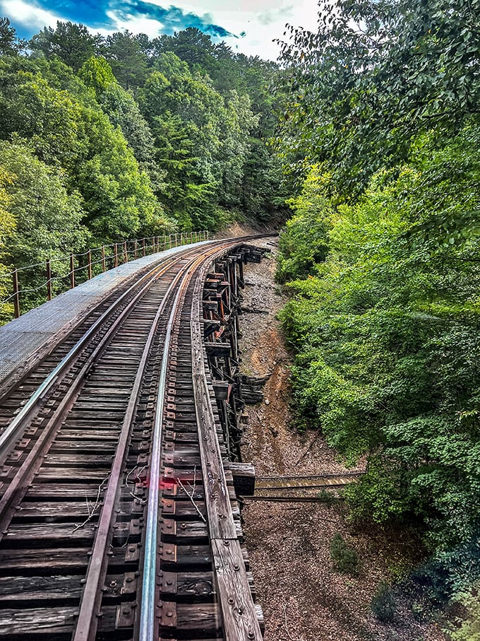 The curving rails ahead promise adventure as they disappear into Tennessee's lush green wilderness.