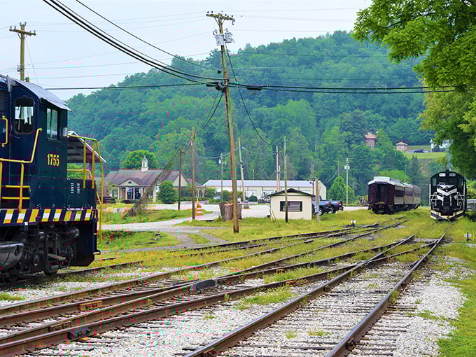 Where tracks converge and adventures begin. The railroad yard's peaceful setting belies the mechanical marvels that have traversed these rails.