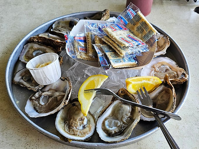 Fresh oysters on the half shell – nature's perfect appetizer. Just a squeeze of lemon and you're transported to seafood heaven.