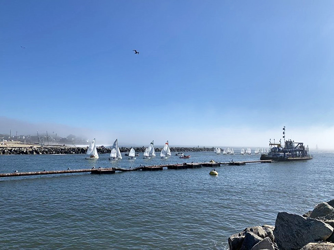 The harbor comes alive with sailboats while the lighthouse watches over everyone like a proud maritime parent at graduation.