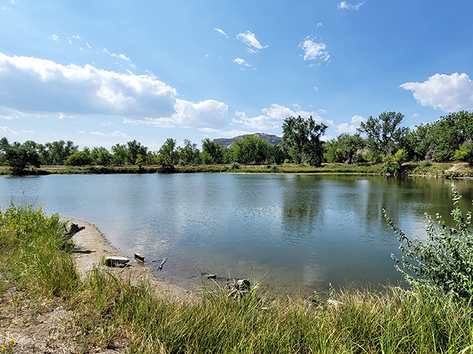 The North Platte River creates an oasis of tranquility where fishing costs nothing but time—the ultimate luxury in retirement that money actually can buy.