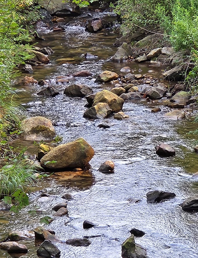 Pennsylvania's rocky streams perform nature's original soundtrack—part babbling conversation, part percussion, all soothing to the soul. No headphones required.